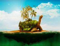 Tortoise Fear - Monster on Island Story